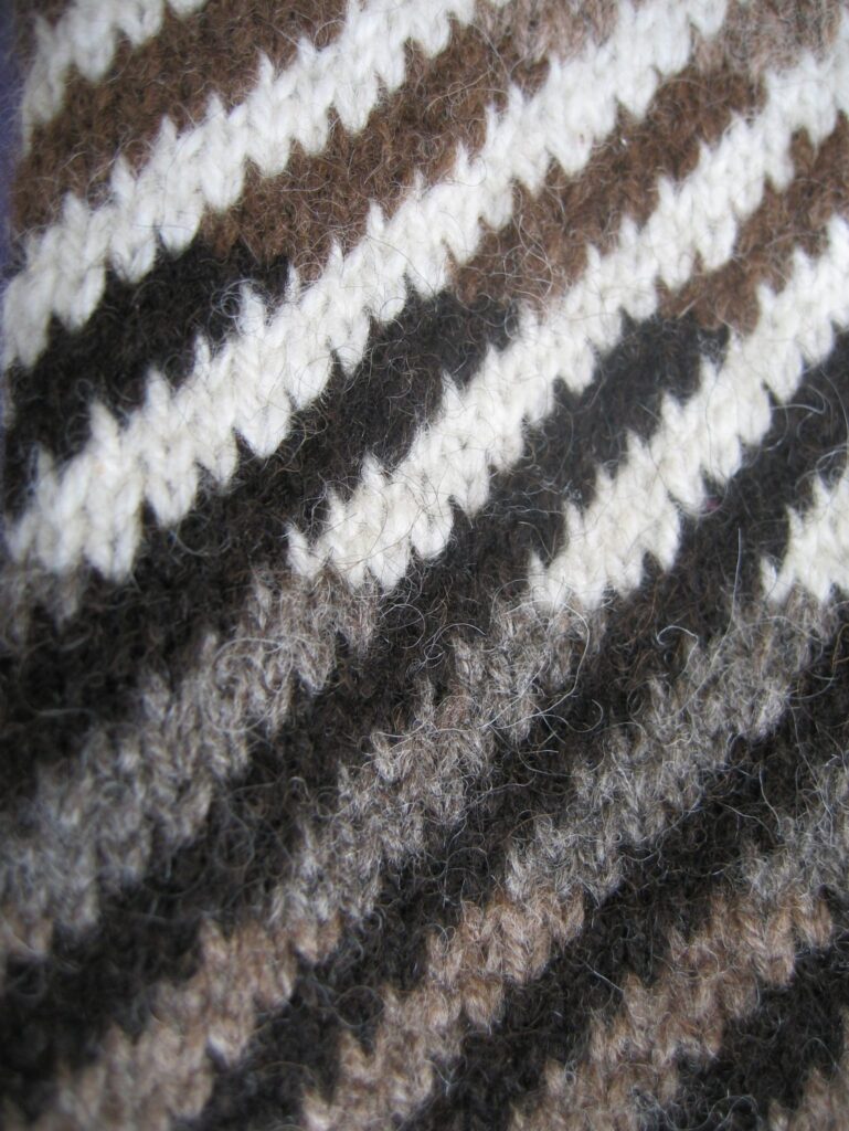 Tweed-Grey Jacob, DK ball - Tamarisk Farm - West Bexington Nr Bridport